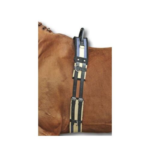 Surcingle w Handle (Lunge Roller) - Freedom Rider